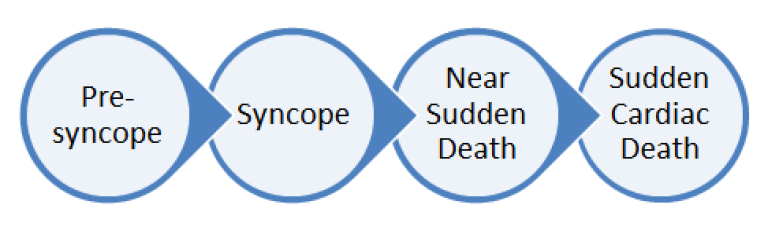 Collapse and Syncope – EmergencyPedia