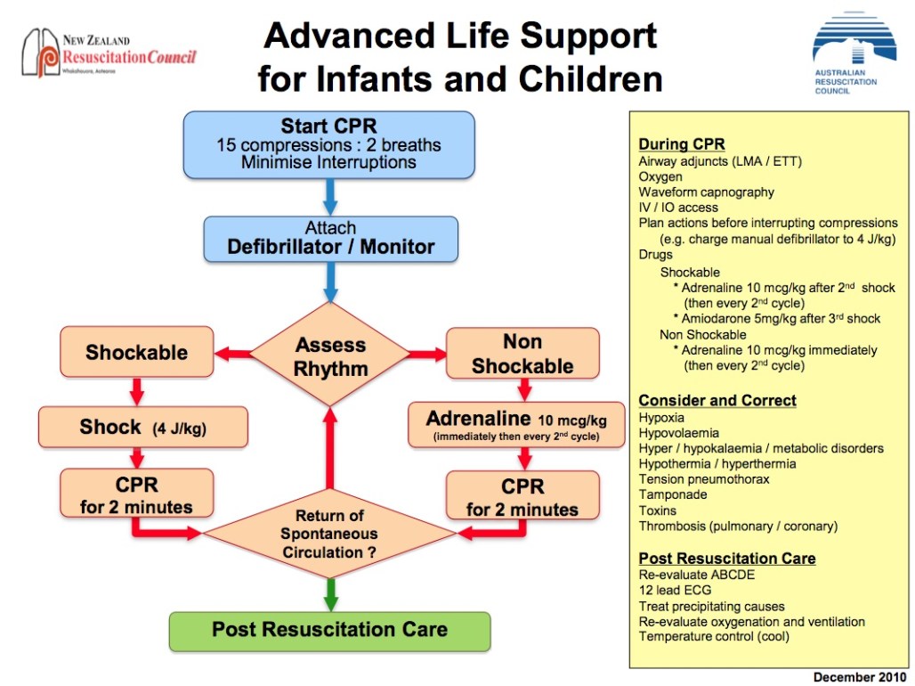 Paediatric Resuscitation Basics – EmergencyPedia