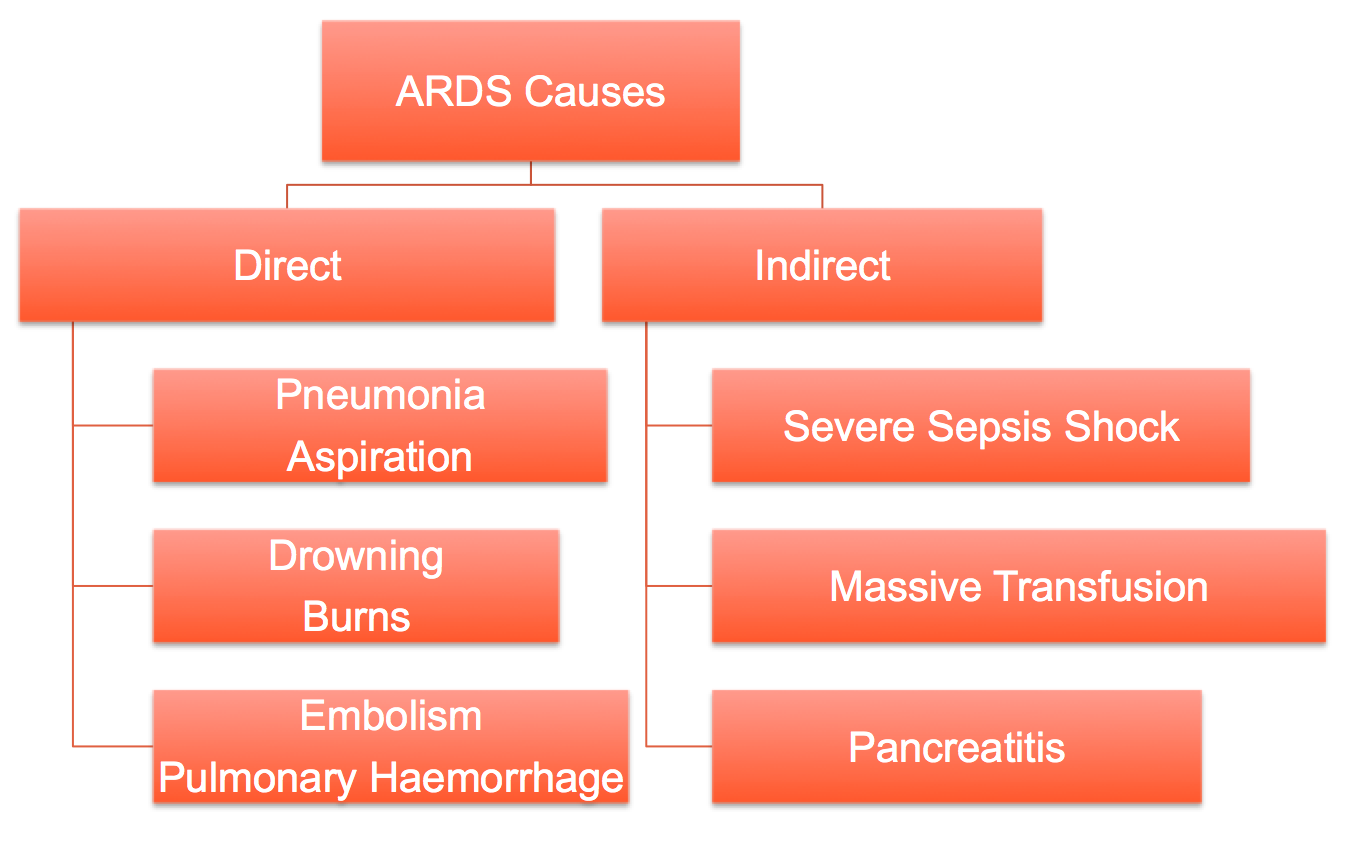 Acute Respiratory Distress Syndrome (ARDS) – EmergencyPedia
