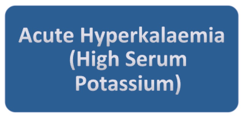 Acute Hyperkalaemia Review – EmergencyPedia